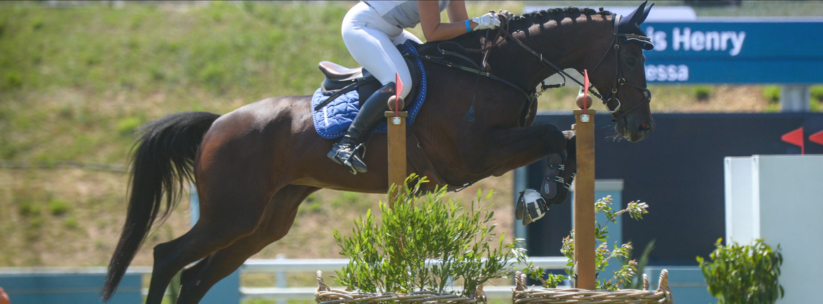 HENRY equestrian - Your new favorite e-shop for equestrian goods!