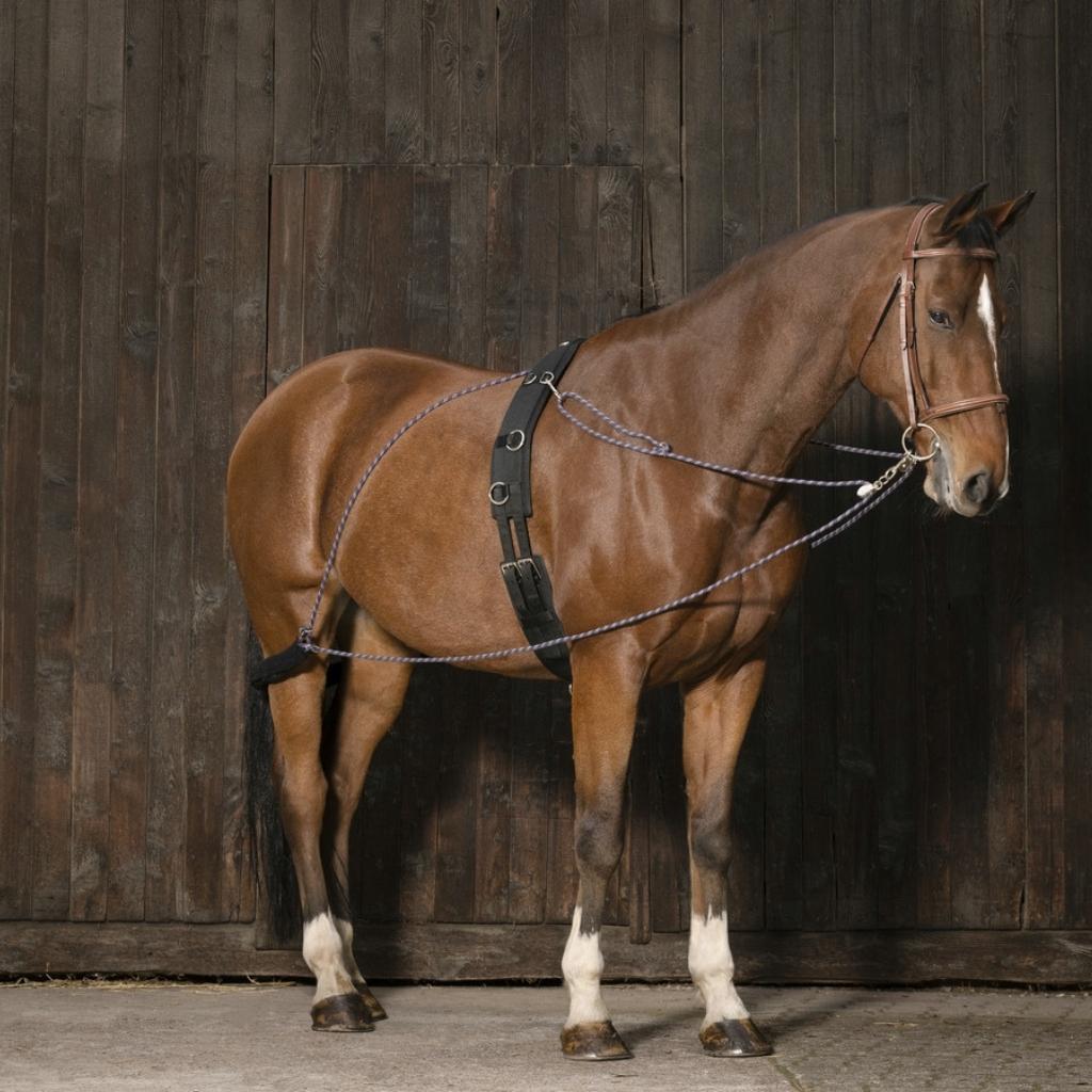 NORTON - "Pessoa" Trainer Training System